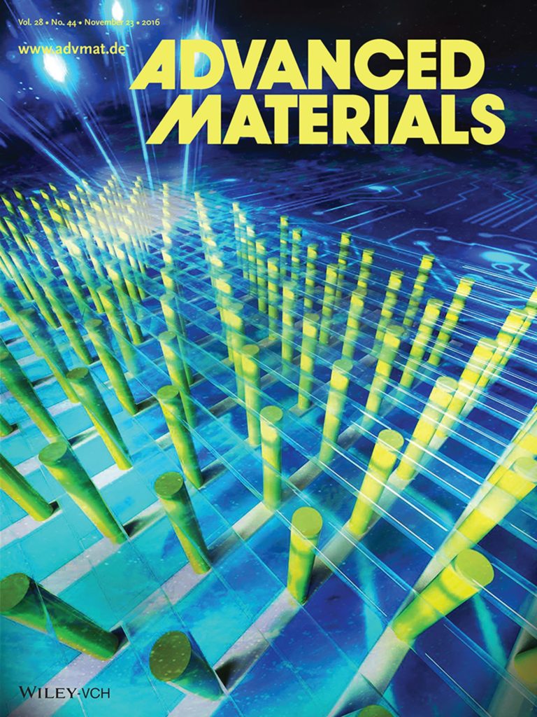 Publications – Laboratory of Emergent and Galvanically Orchestrated ...